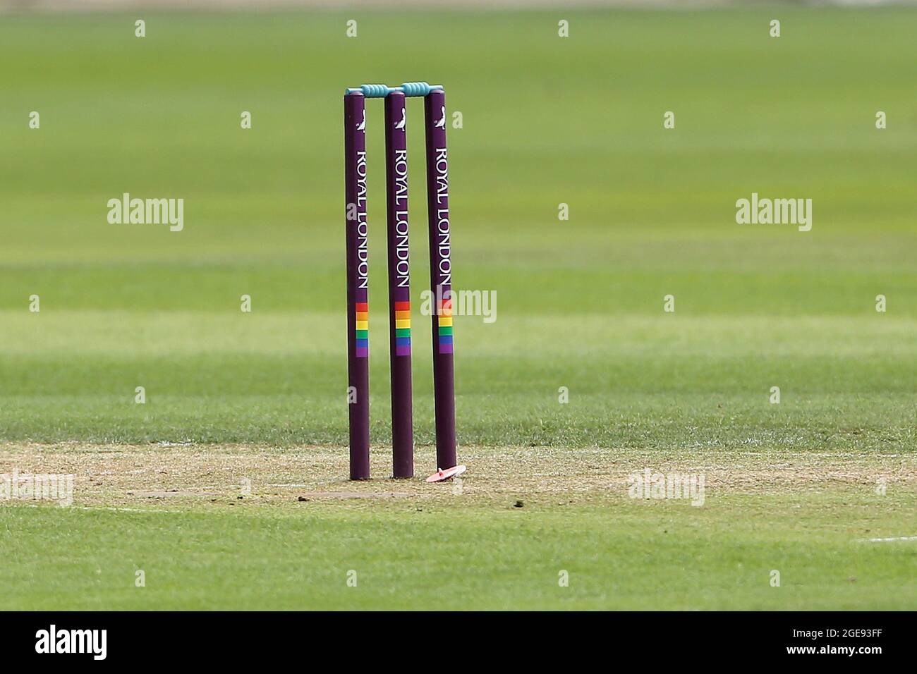 Rainbow stumps hi-res stock photography and images - Alamy
