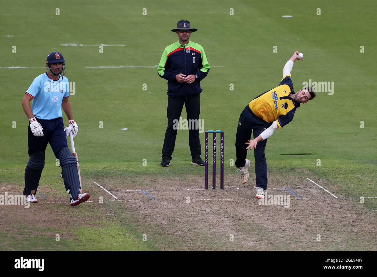 Steven reingold steven reingold hi-res stock photography and images - Alamy