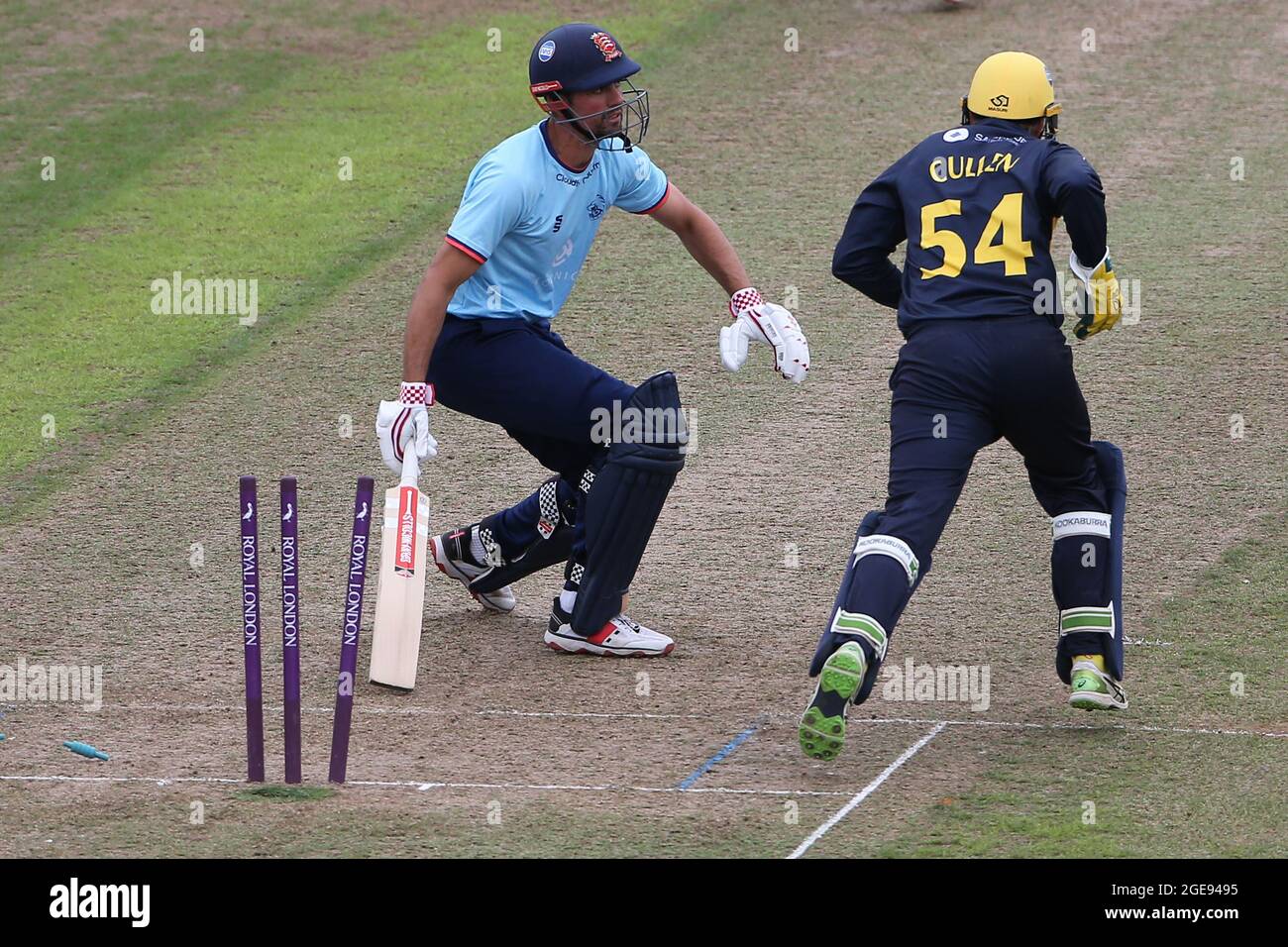 Steven reingold steven reingold hi-res stock photography and images - Alamy