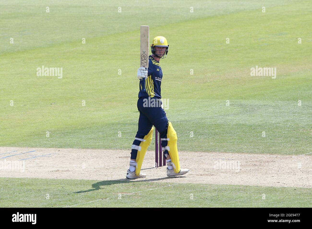 Bat hawks hi-res stock photography and images - Alamy