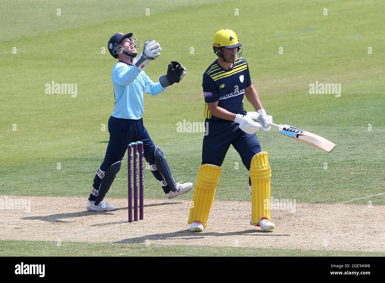Adam Wheater of Essex celebrates his catch to dismiss Joe Weatherley ...