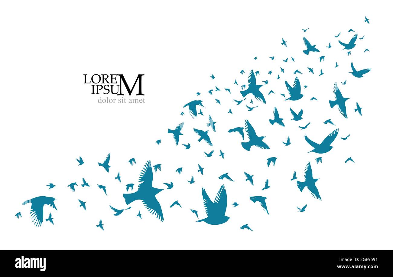 A flock of blue birds. Vector illustration Stock Vector Image & Art - Alamy