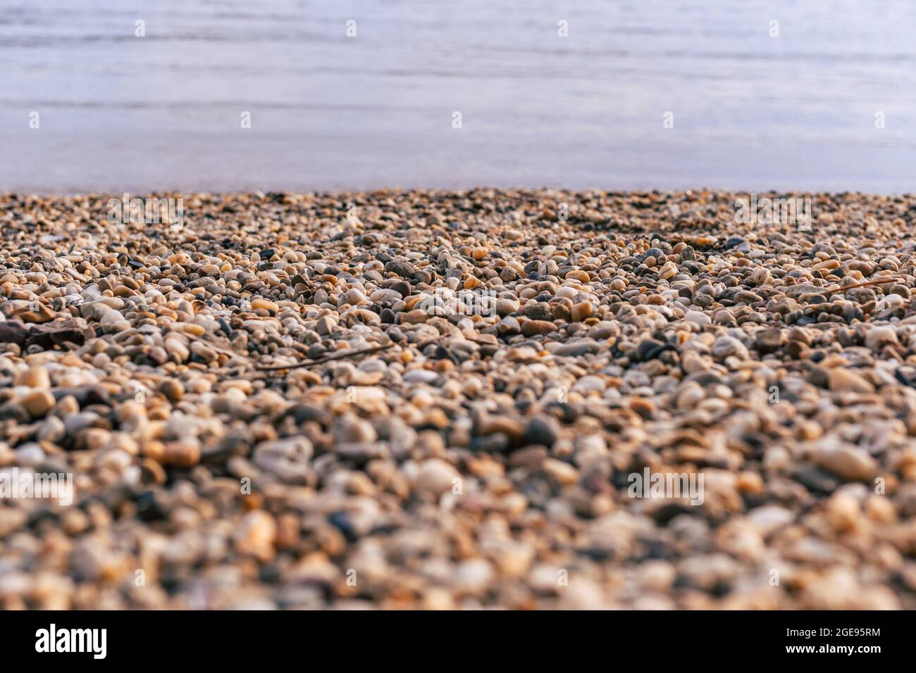 river shore in summer Stock Photo - Alamy