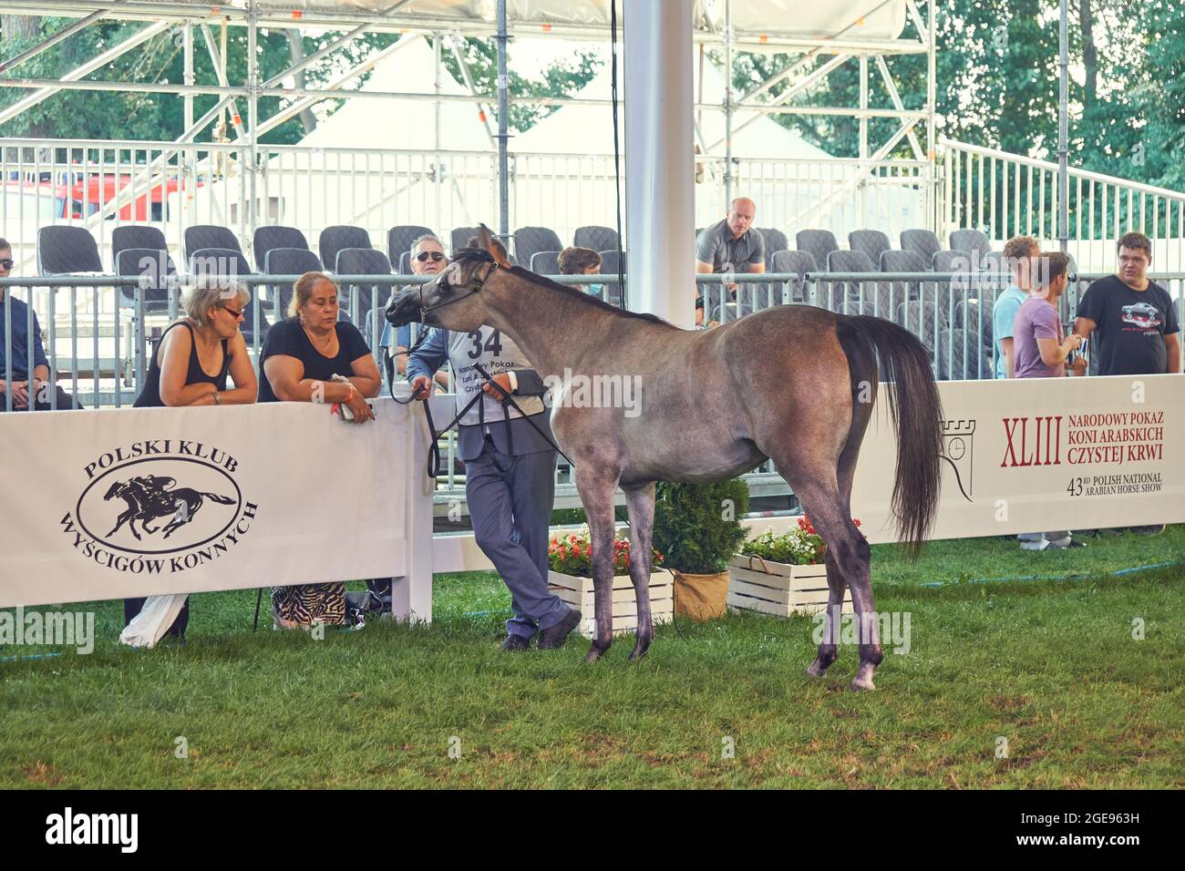 "Pride of Poland 2021" - annual festival of world class Arabian horses ...