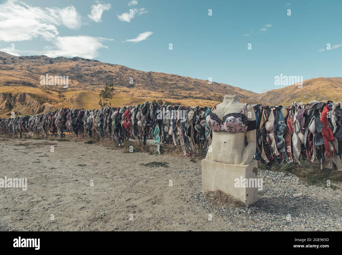 Bras on the fence at New Zealand south island Stock Photo - Alamy