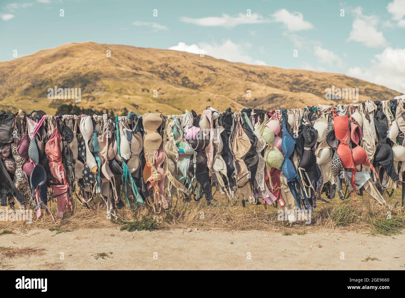 Bras on the fence at New Zealand south island Stock Photo - Alamy