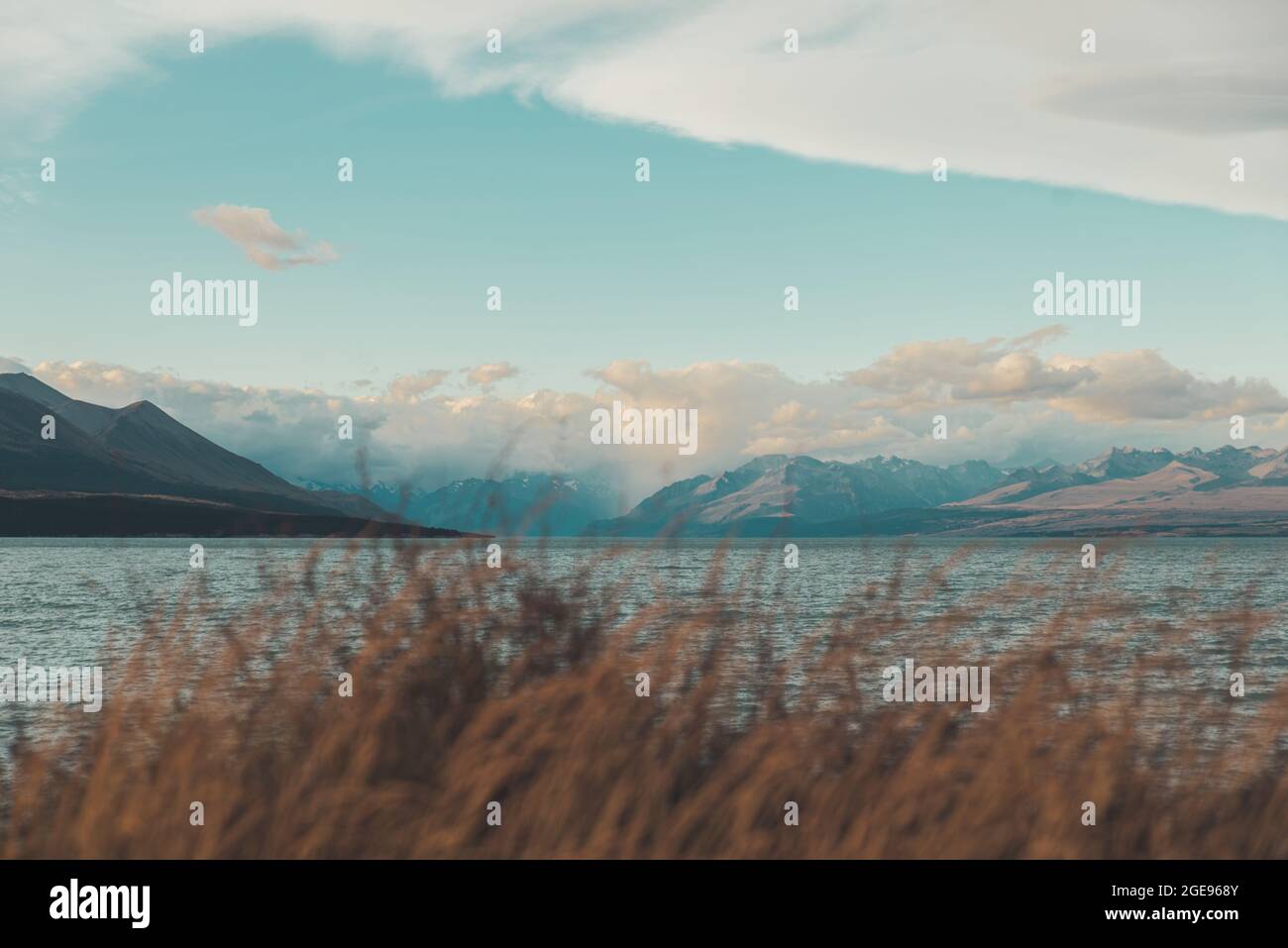 New zealand pukaki hi-res stock photography and images - Alamy