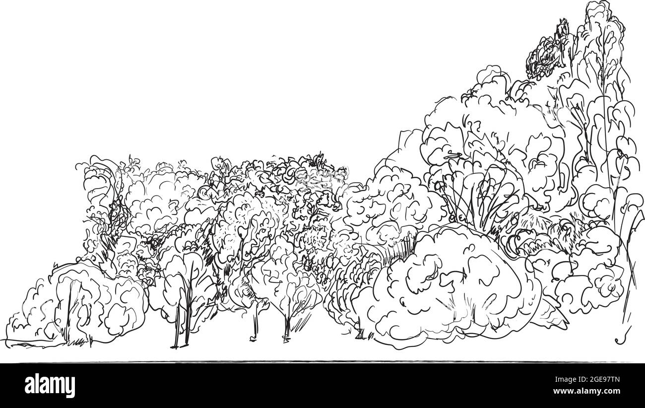 Forest lawn simple fast drawing Stock Vector Image & Art - Alamy