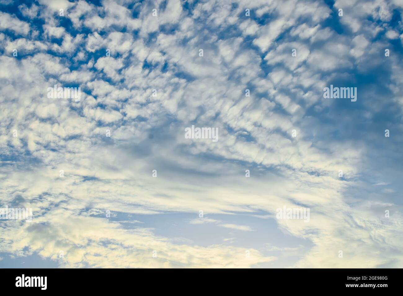 Beauty natural environment nature hi-res stock photography and images ...