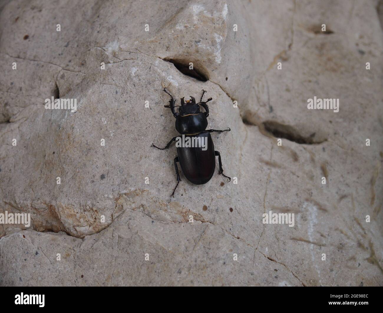 Rakovica karlovac hi-res stock photography and images - Alamy