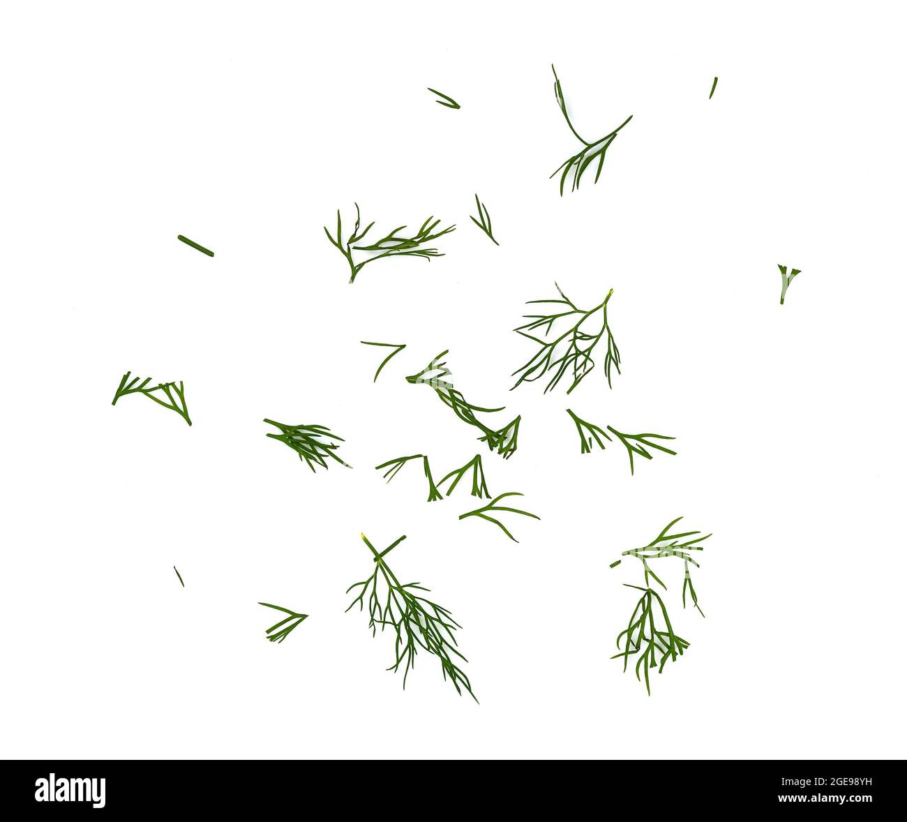 Spice fresh chopped dill isolated. Pile of fresh green chopped dill ...