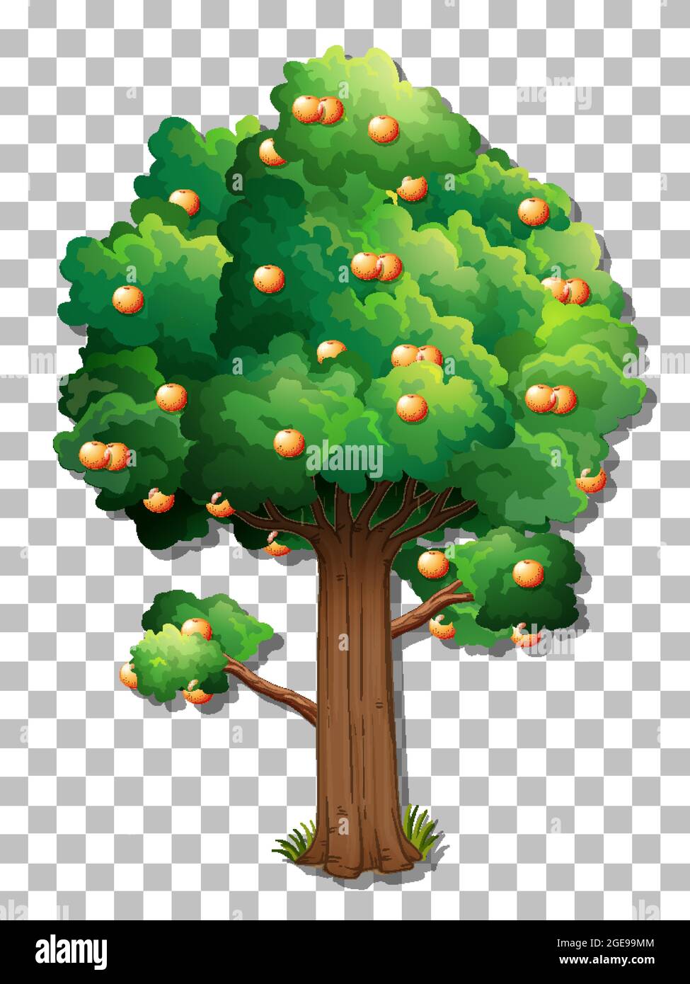 Orange tree on transparent background illustration Stock Vector Image ...