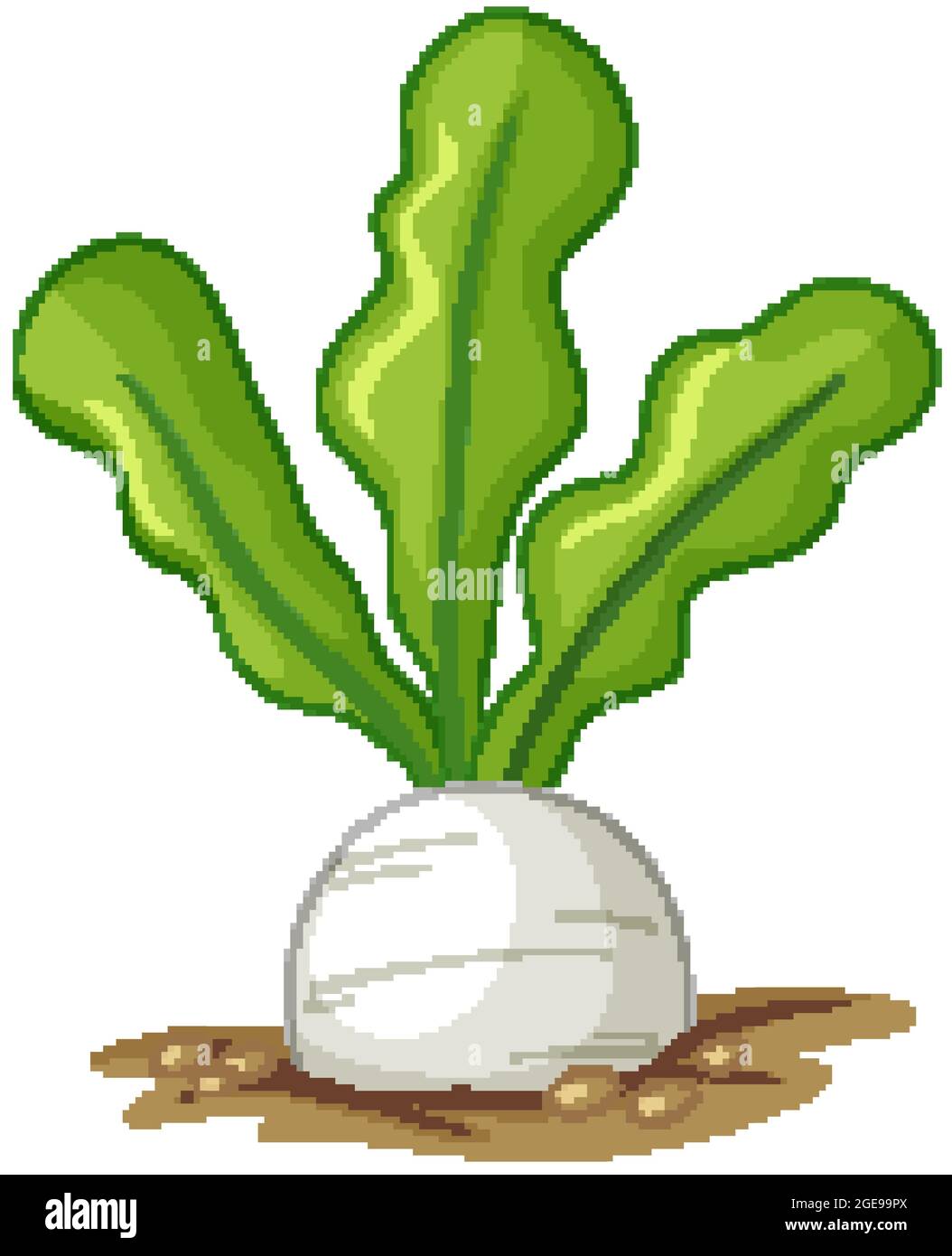 White radish in soil cartoon style isolated illustration Stock Vector ...