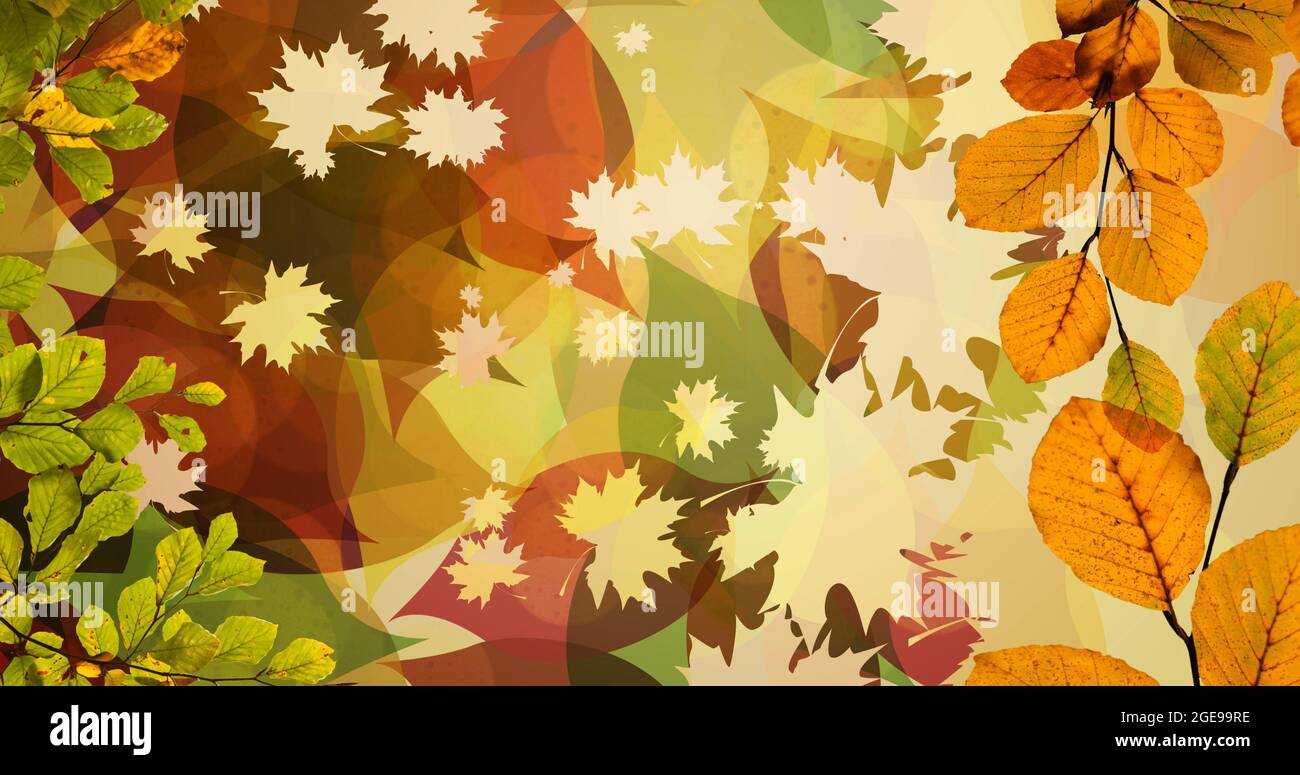 Composition of leaves falling over autumn scenery Stock Photo - Alamy