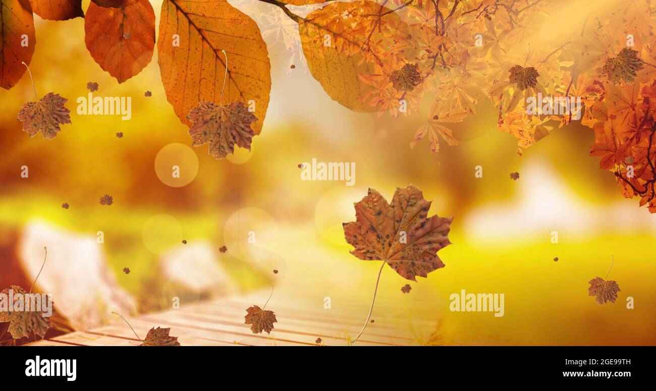 Animation falling green leaves over hi-res stock photography and images ...