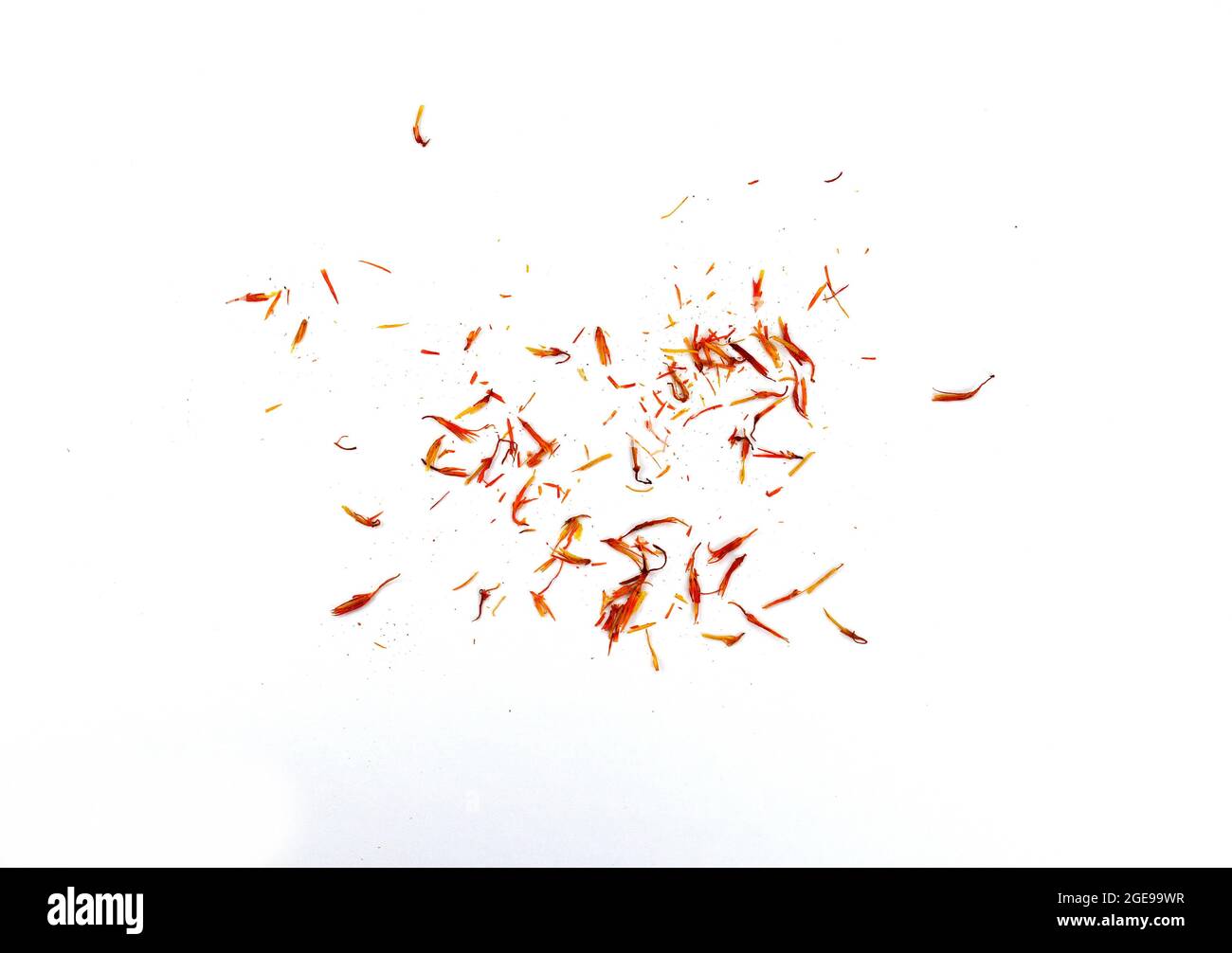 Saffron spice threads (strands) isolated on white background. Saffron ...