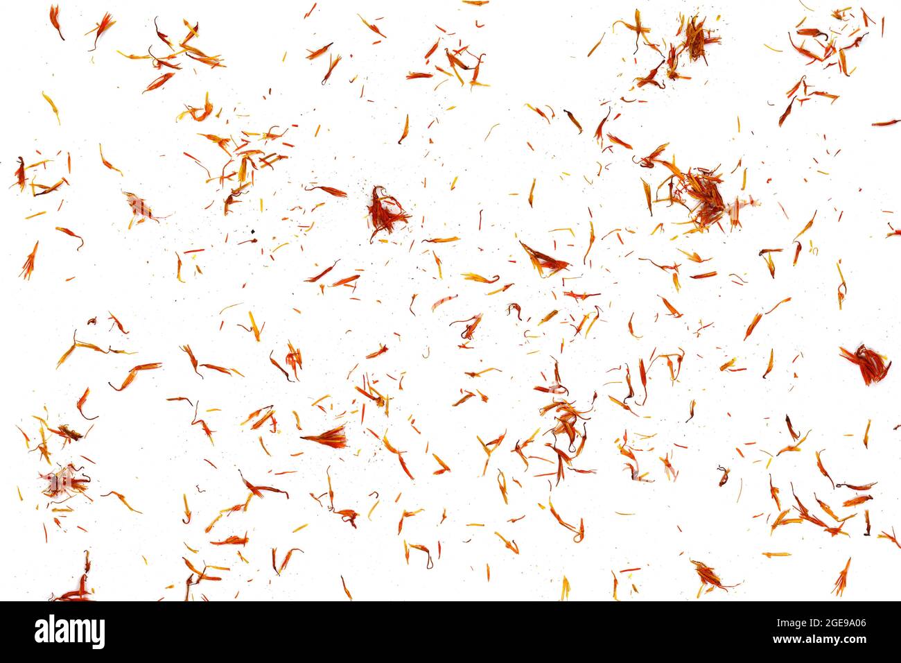 Saffron spice threads (strands) isolated on white background. Saffron ...