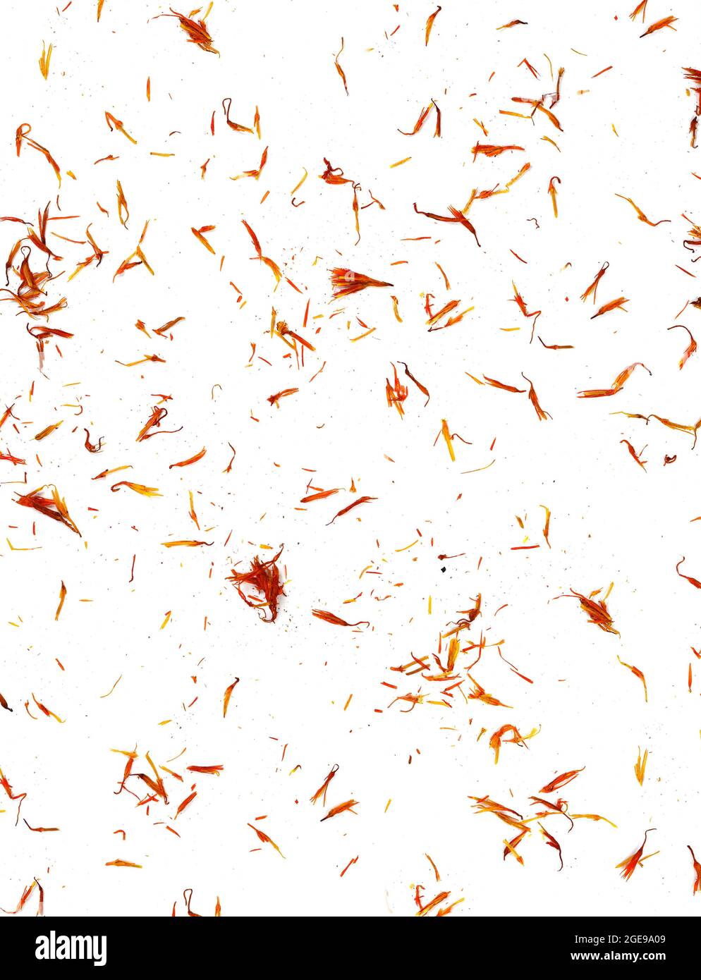 Saffron spice threads (strands) isolated on white background. Saffron ...