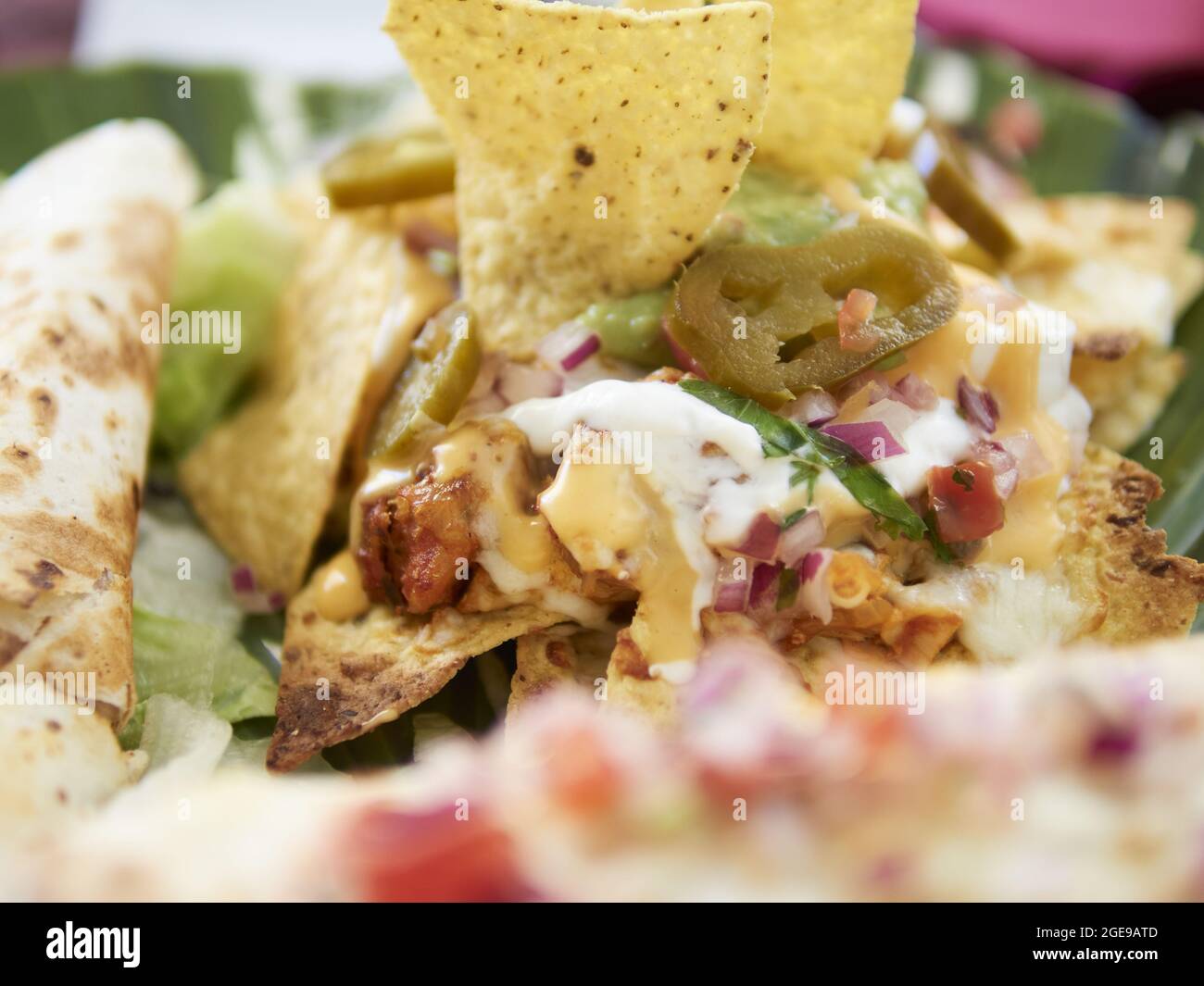 Closeup shot of nachos with melted cheese and jalapeno pepper Stock ...