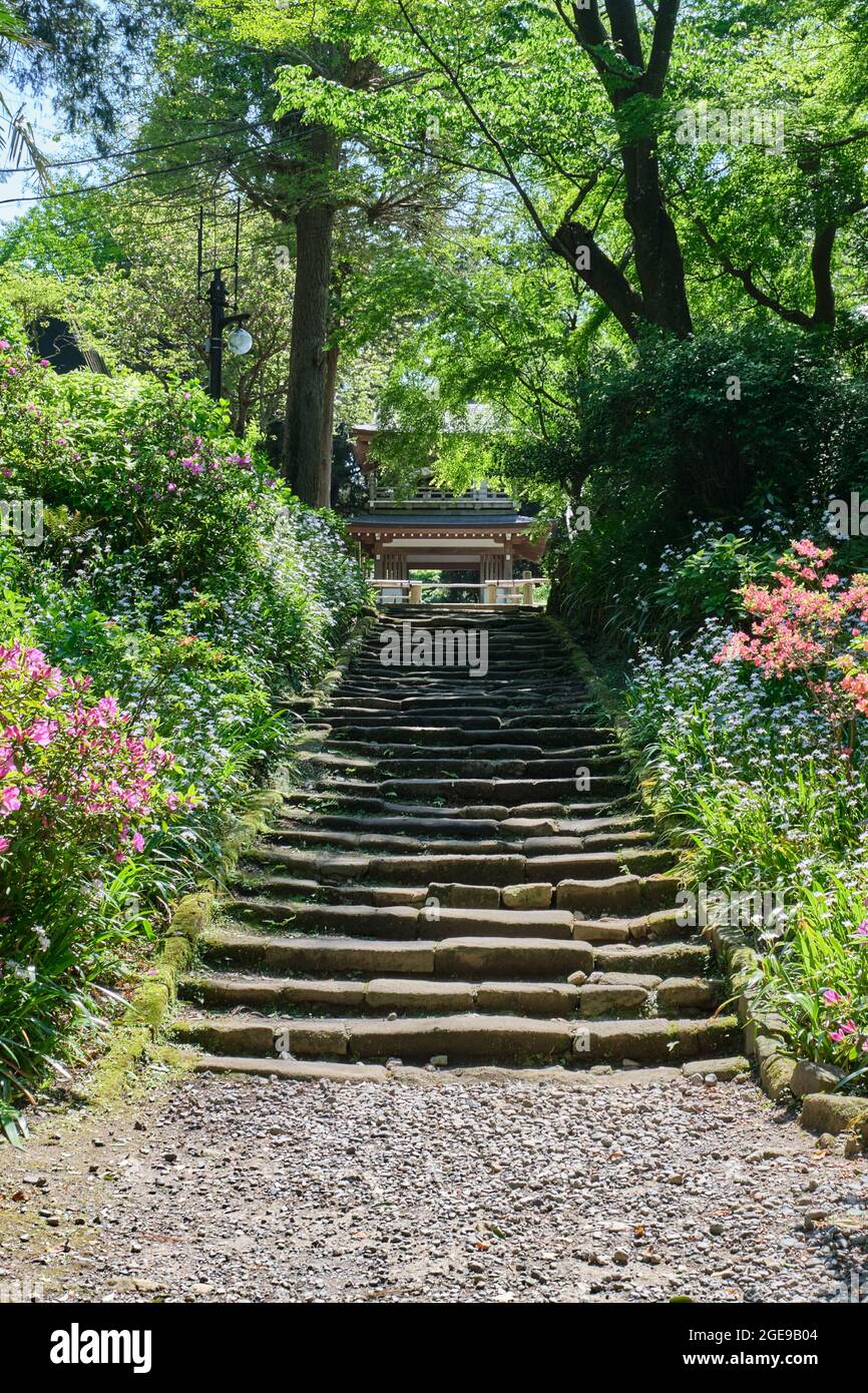 Jochi in hi-res stock photography and images - Alamy