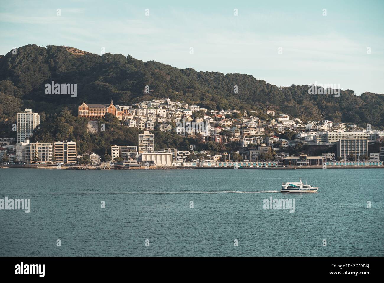 Wellington view hi-res stock photography and images - Alamy