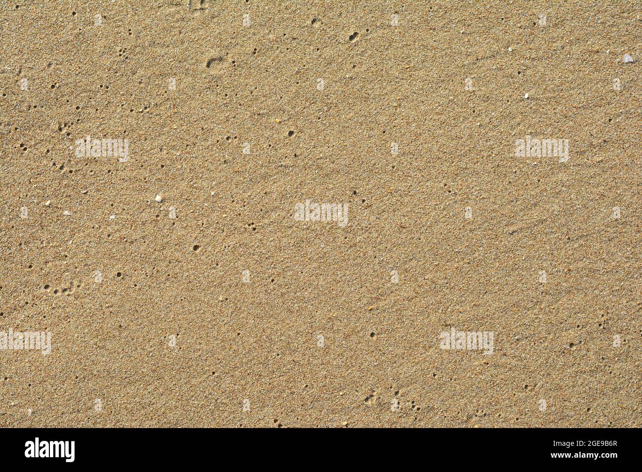 Golden Sand on the beach as background. Sand Texture. Golden sand ...