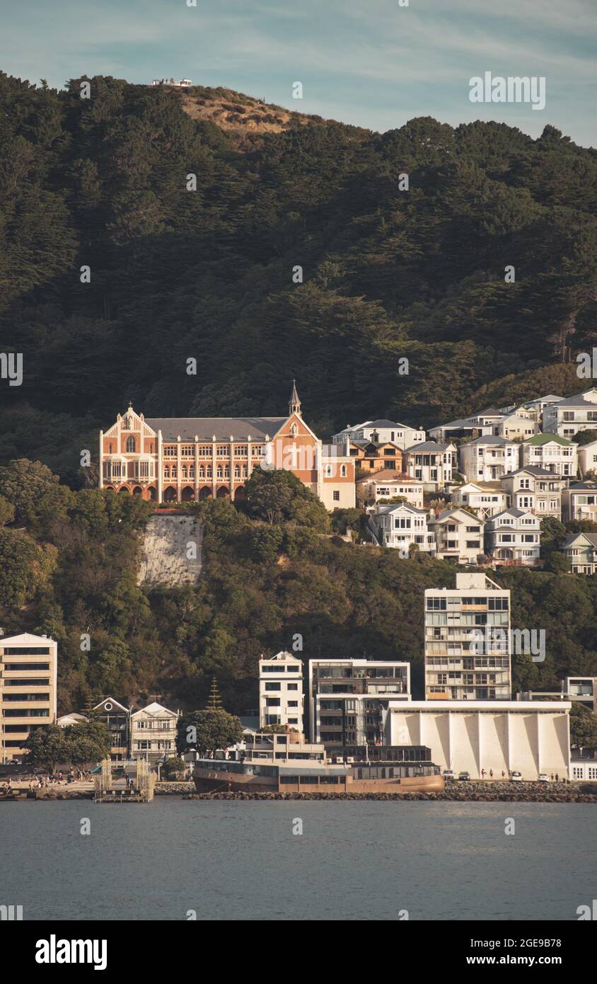 View of Wellington from the ferry Stock Photo - Alamy