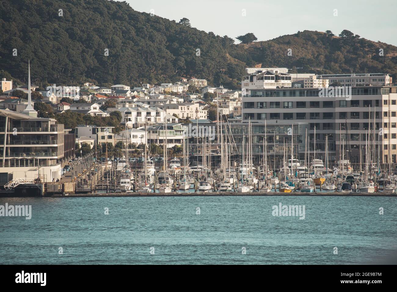 View of Wellington from the ferry Stock Photo - Alamy
