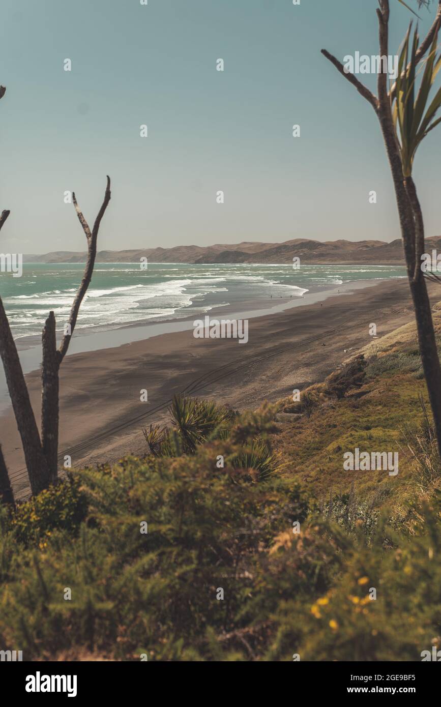 Beach at New Zealand coast north island Stock Photo - Alamy