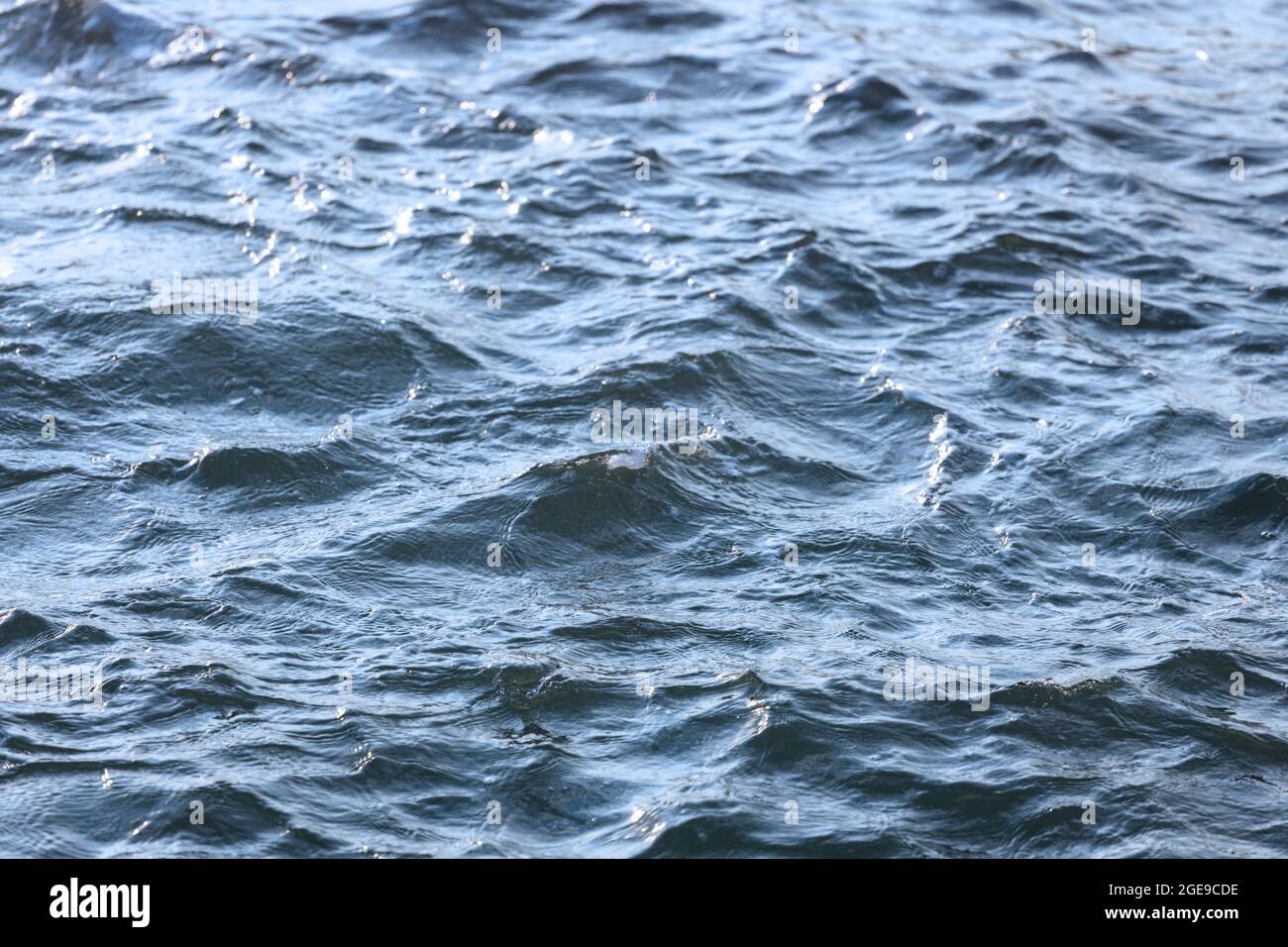 the sea close-up. water texture. water surface with waves. High quality ...