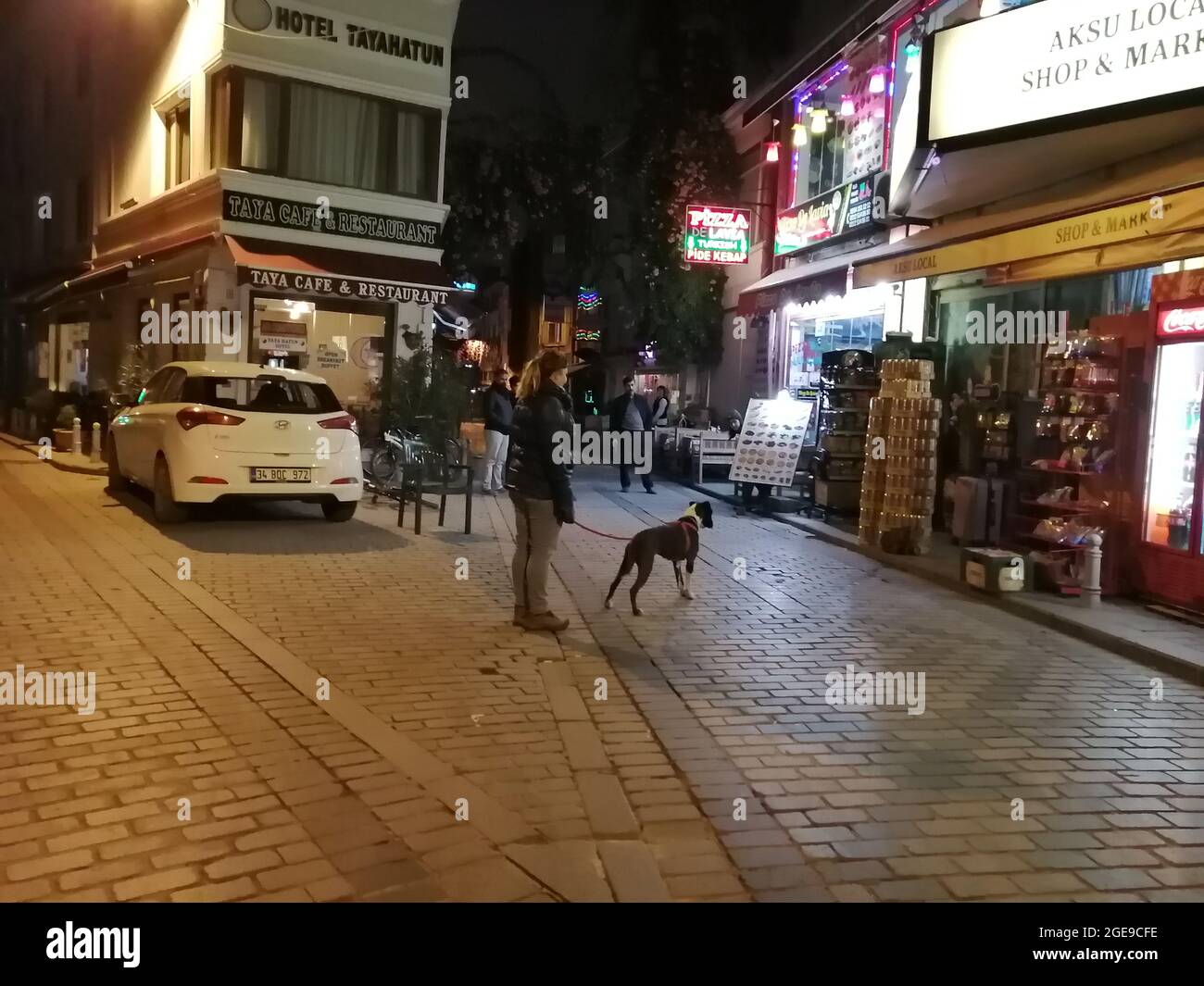 ISTANBUL, TURKEY - Mar 15, 2021: A beautiful shot of illuminated ...