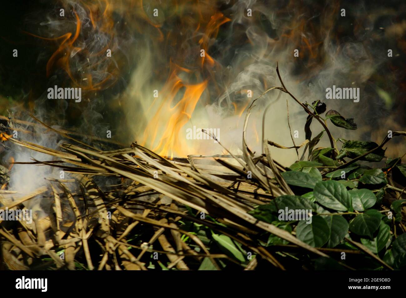 Black coconut ash hi-res stock photography and images - Alamy