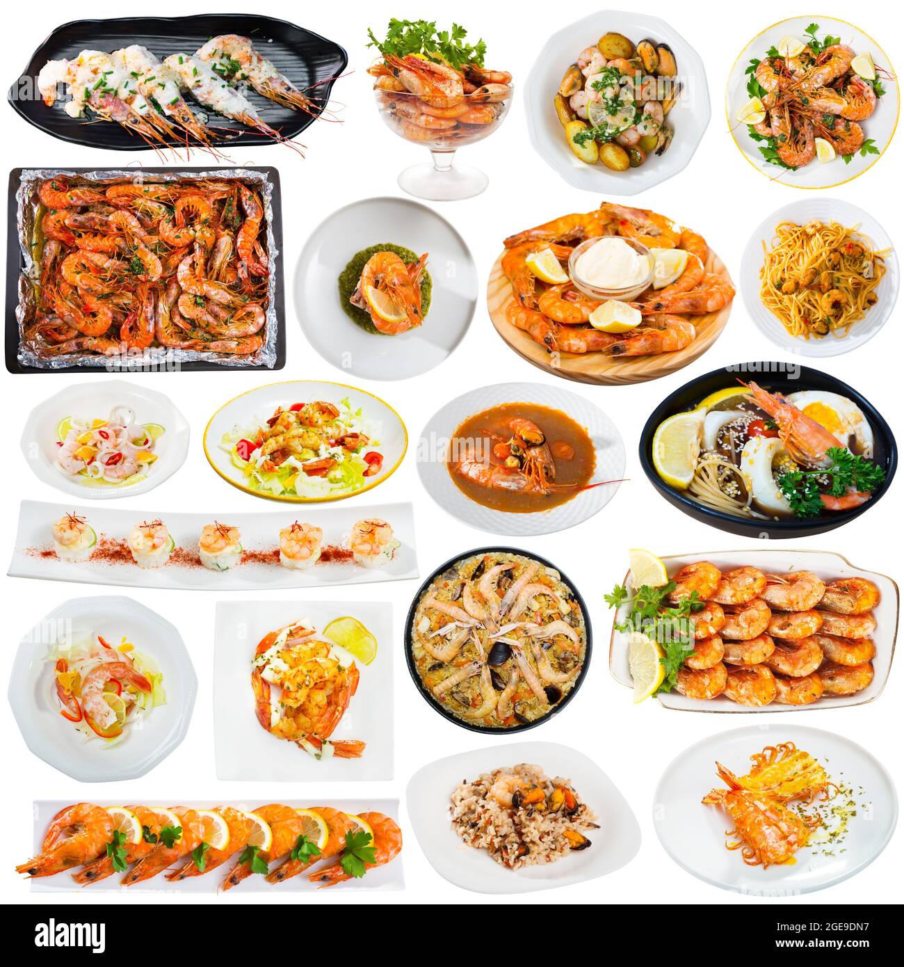 Collage of different dishes cooked with prawns isolated on white ...