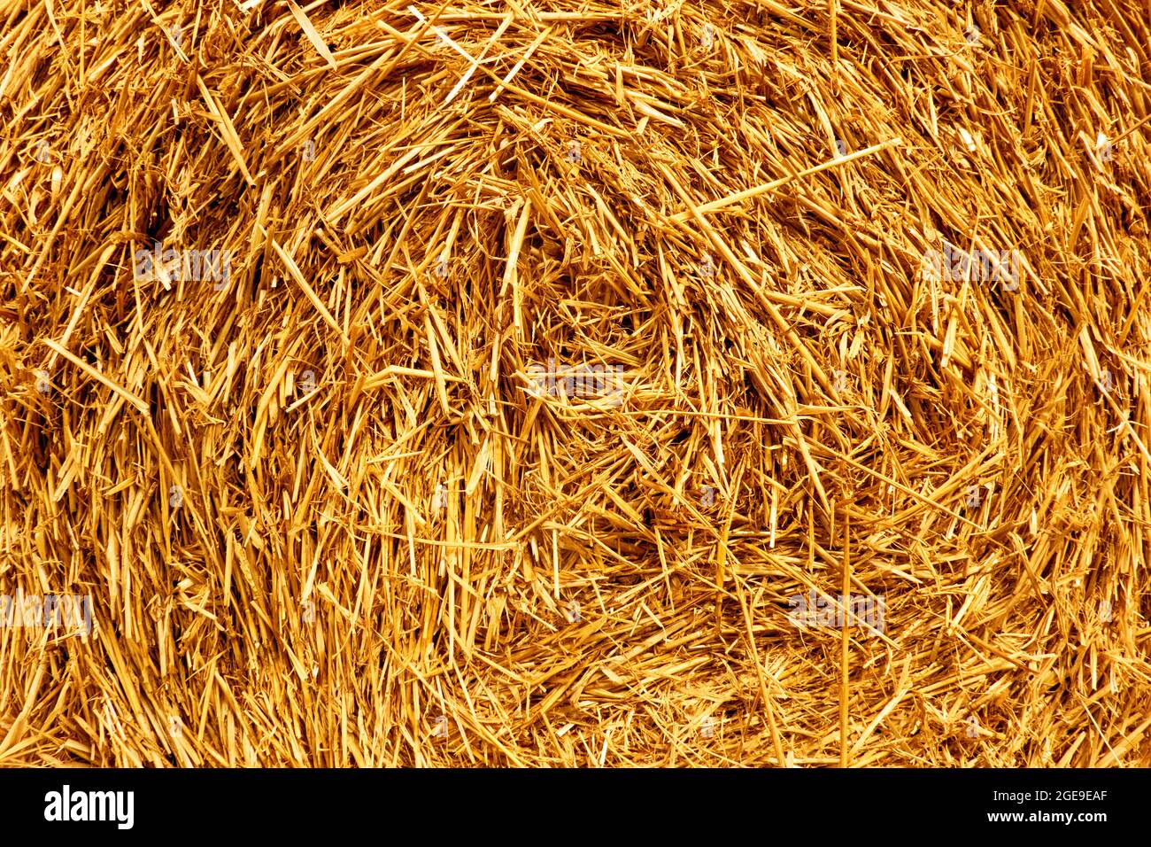 Close up of a bale of straw pressed into a roll, pattern or texture ...