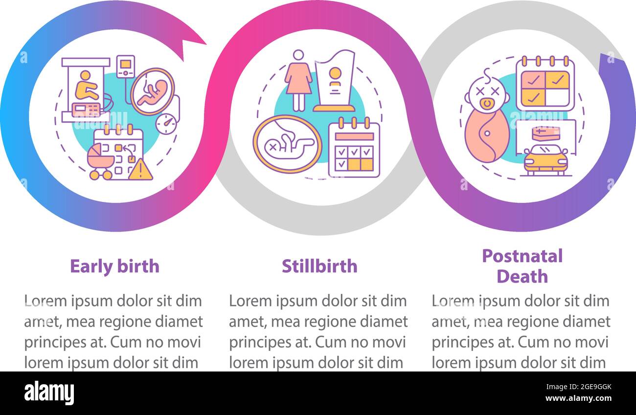 Maternity leave entitlement cases vector infographic template Stock ...