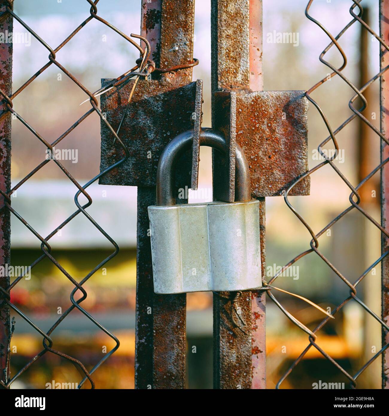 Closed padlock hanging on the hinges on the latticed door Stock Photo ...