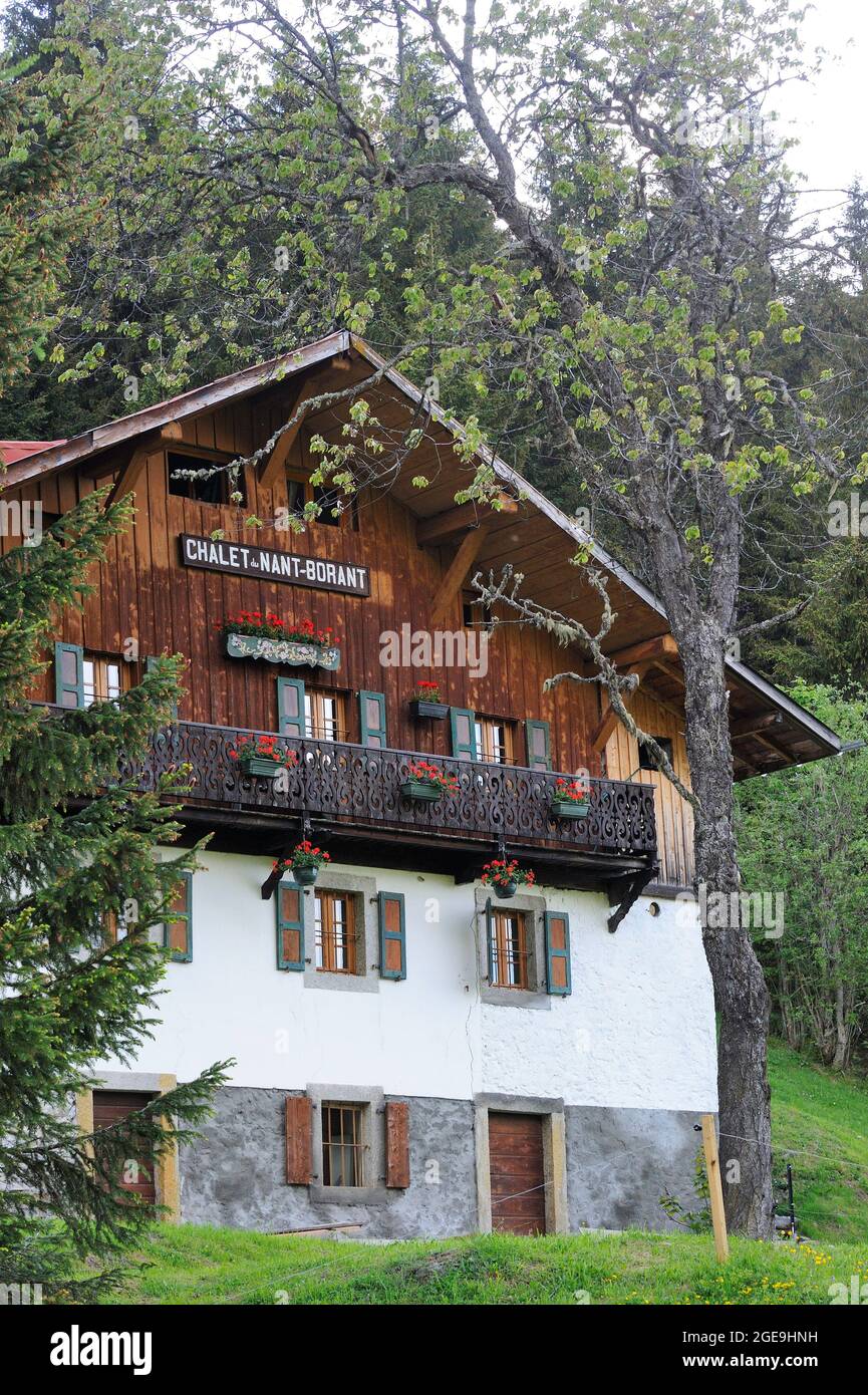FRANCE, HAUTE-SAVOIE (74) NATURAL PARK OF CONTAMINES-MONTJOIE, HIKKING ...