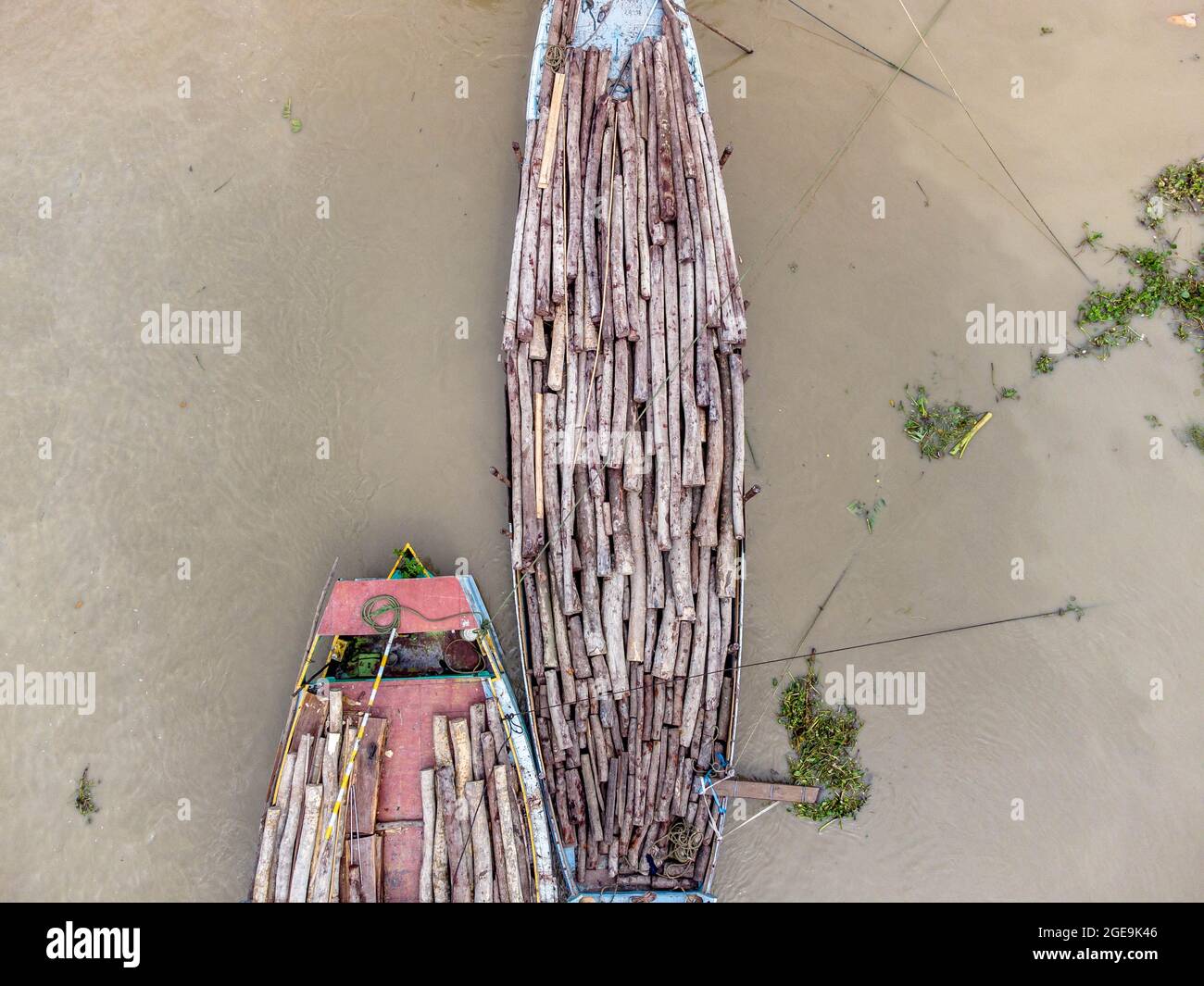 Mangrove forest with sundari trees hi-res stock photography and images ...