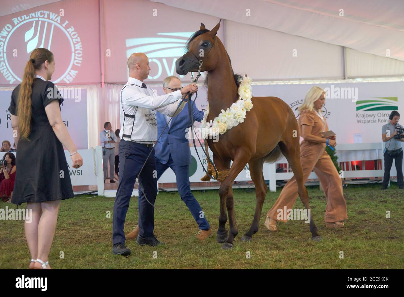 "Pride of Poland 2021" - annual festival of world class Arabian horses ...