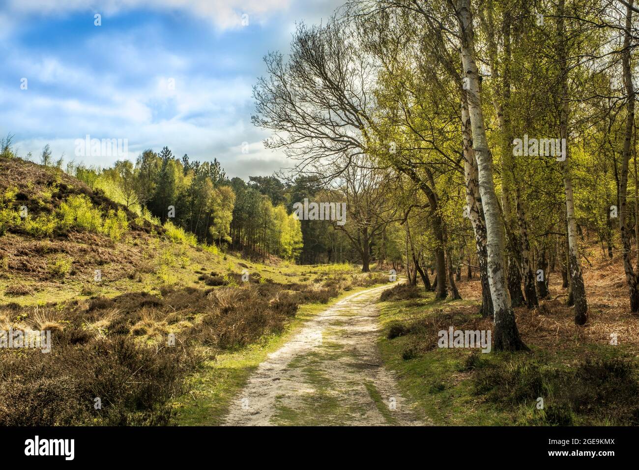 Dersingham High Resolution Stock Photography and Images - Alamy