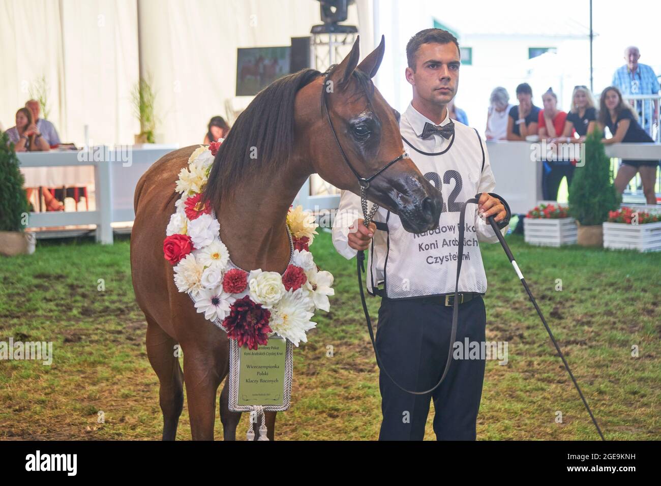 "Pride of Poland 2021" - annual festival of world class Arabian horses ...