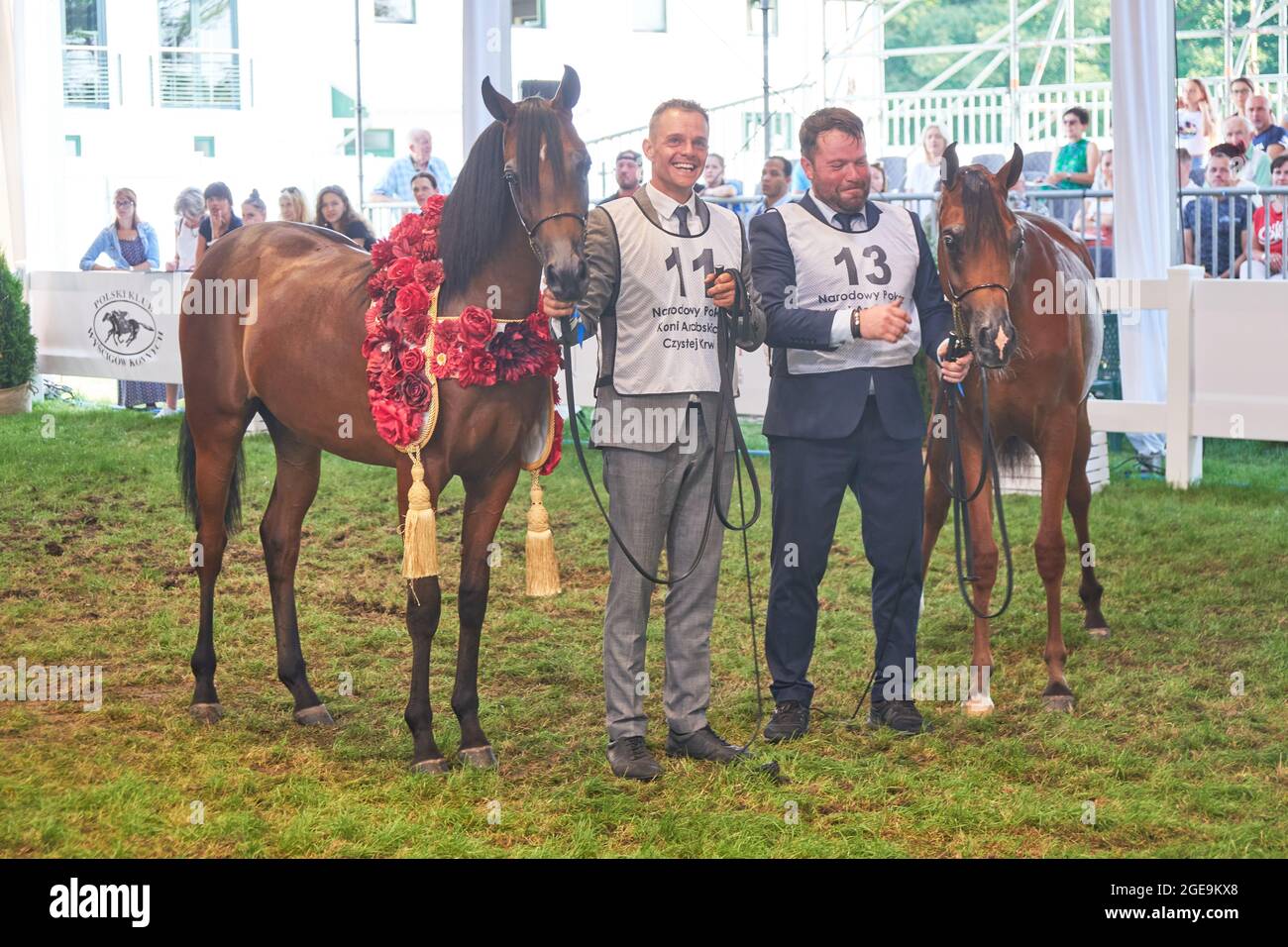 "Pride of Poland 2021" - annual festival of world class Arabian horses ...