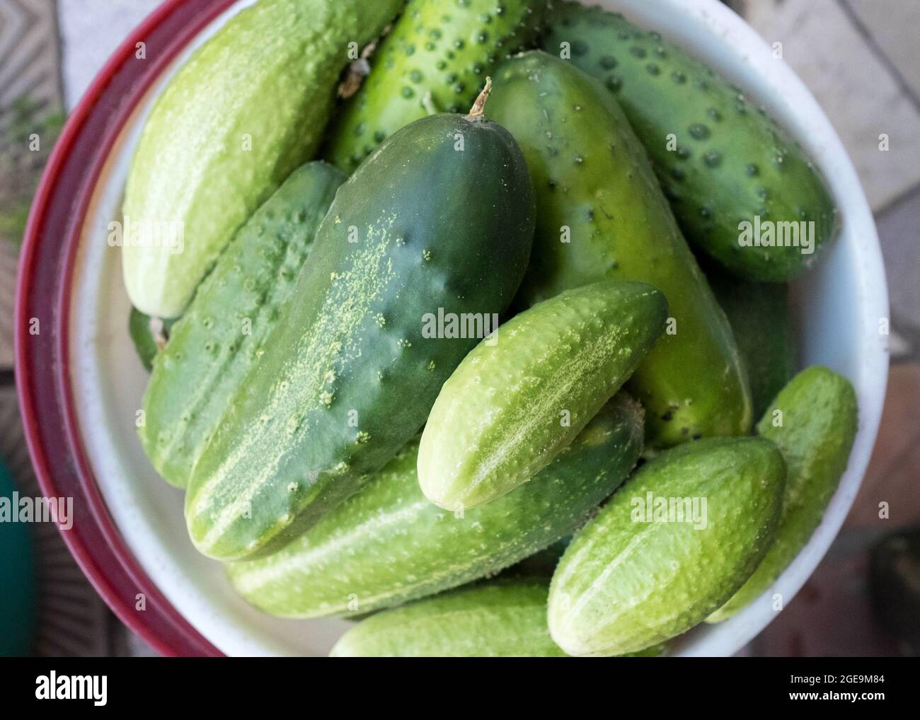 Bucket of cucumbers hi-res stock photography and images - Alamy