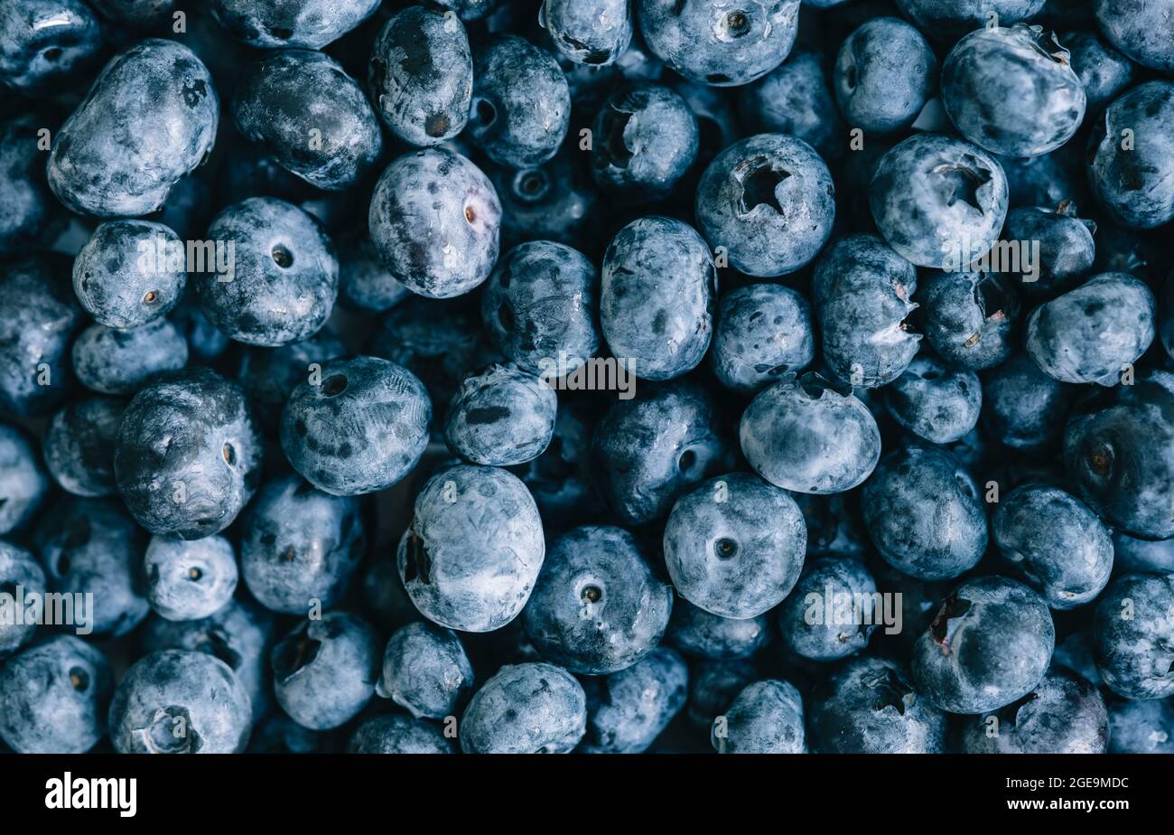 Fresh blueberry close-up. Food background Stock Photo - Alamy