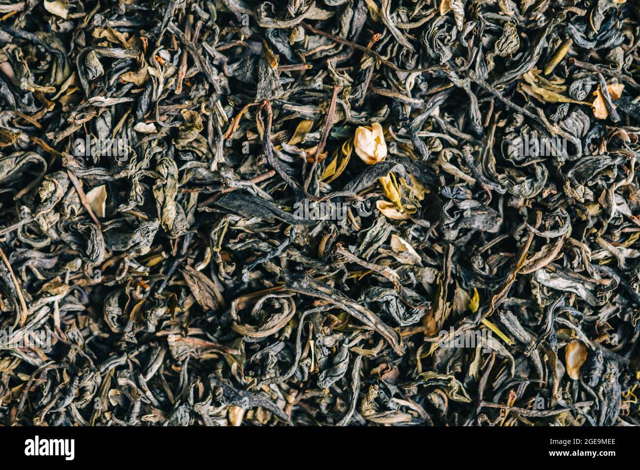 Green tea jasmine molihua, close-up. Texture background Stock Photo - Alamy