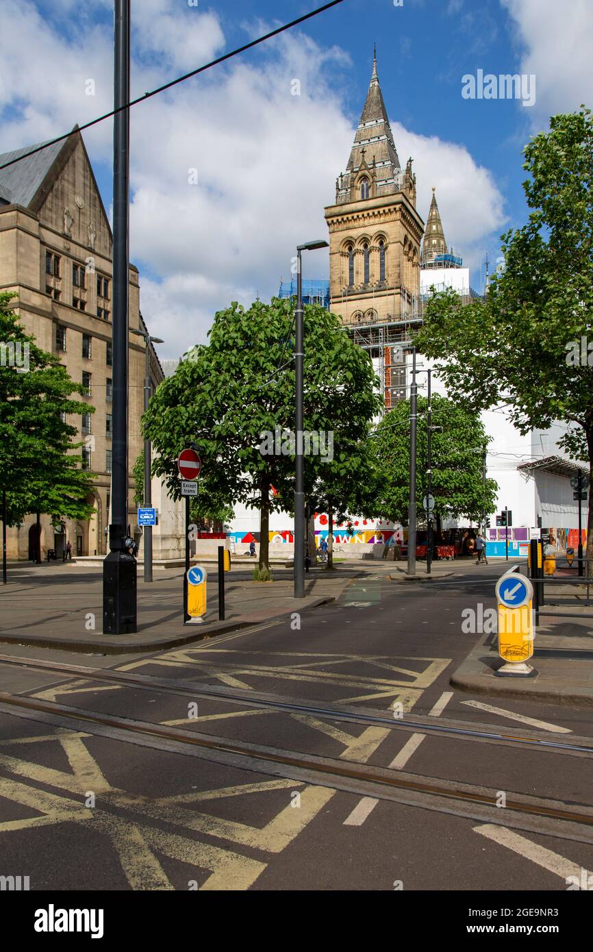 St Peter's Square and Foxglove trees, Manchester, UK Stock Photo - Alamy