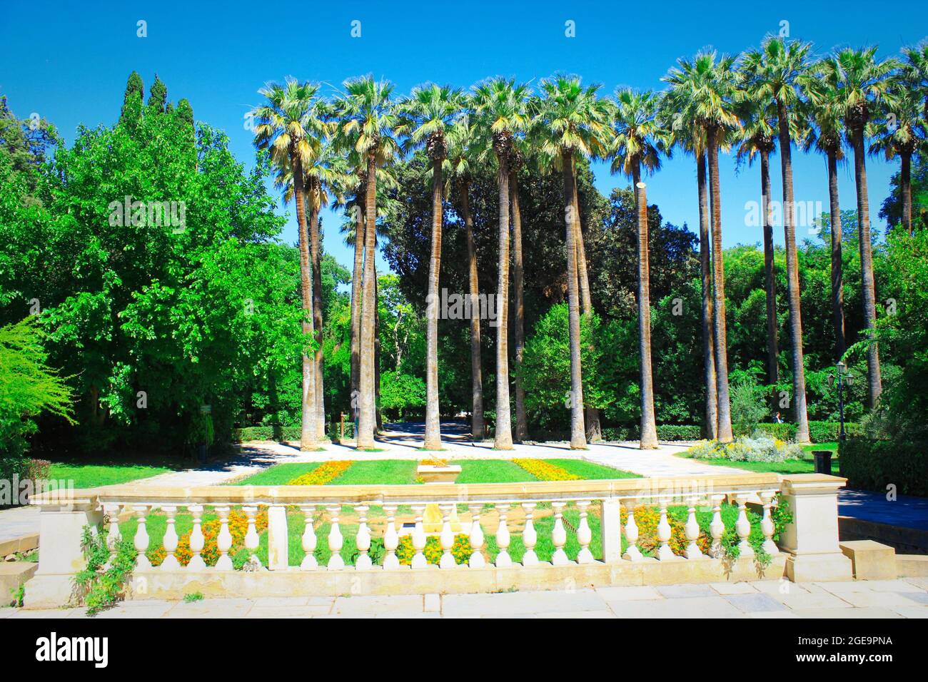 Greece, Athens, June 16 2020 - Palm trees in a row in the National ...