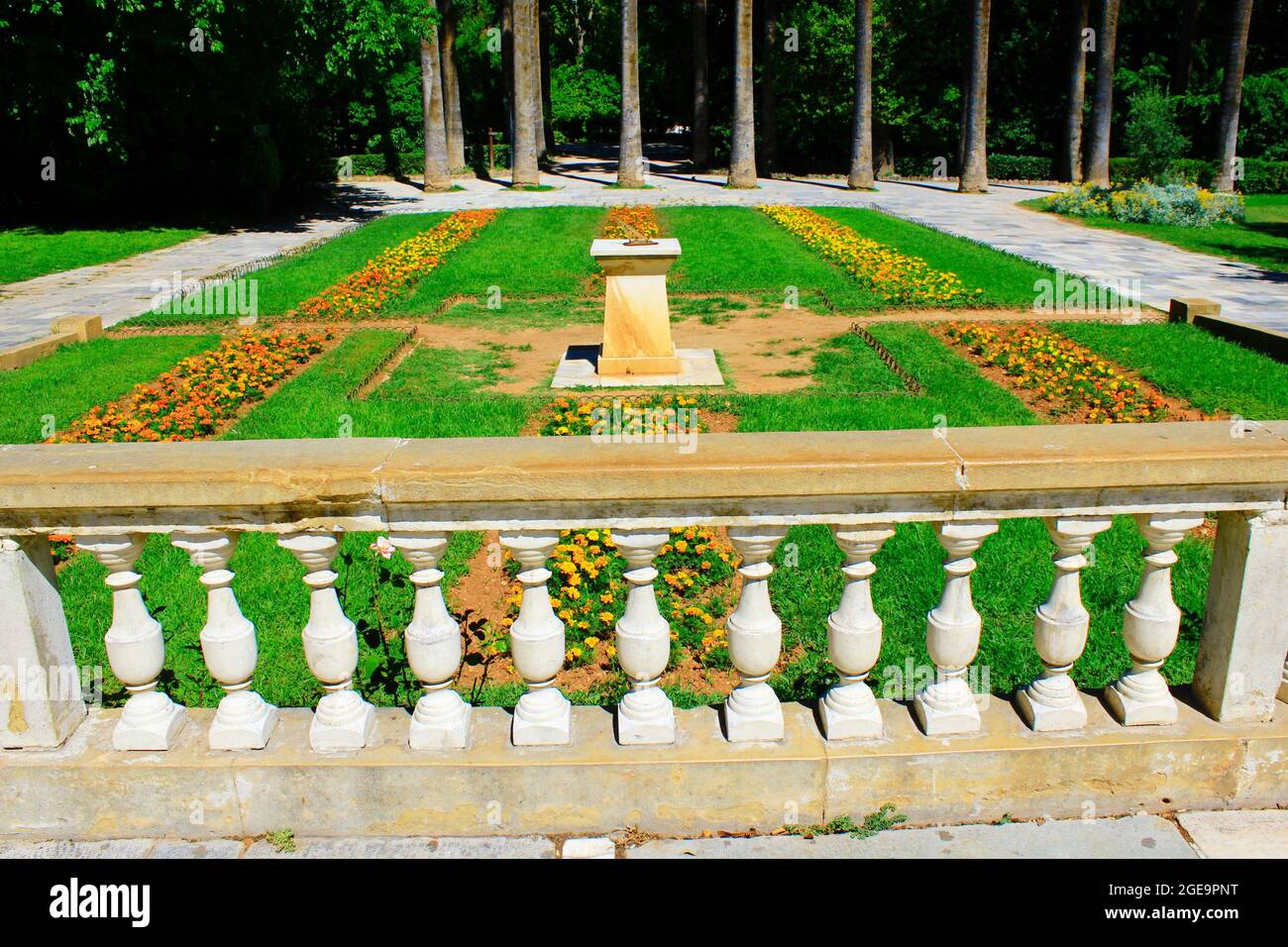 Greece national flower hi-res stock photography and images - Alamy