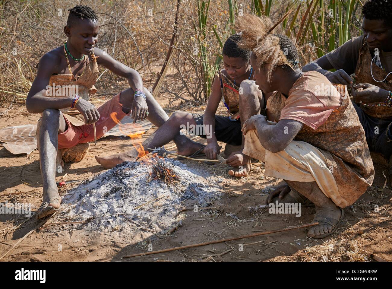 bushmen of Hadzabe tribe sitting around a fireplace and broiling a bird ...