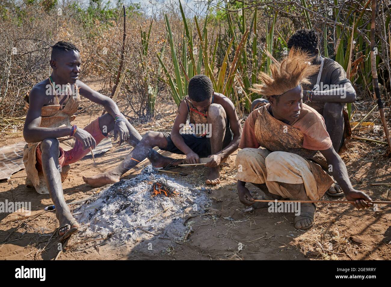 bushmen of Hadzabe tribe sitting around a fireplace, Lake Eyasi ...
